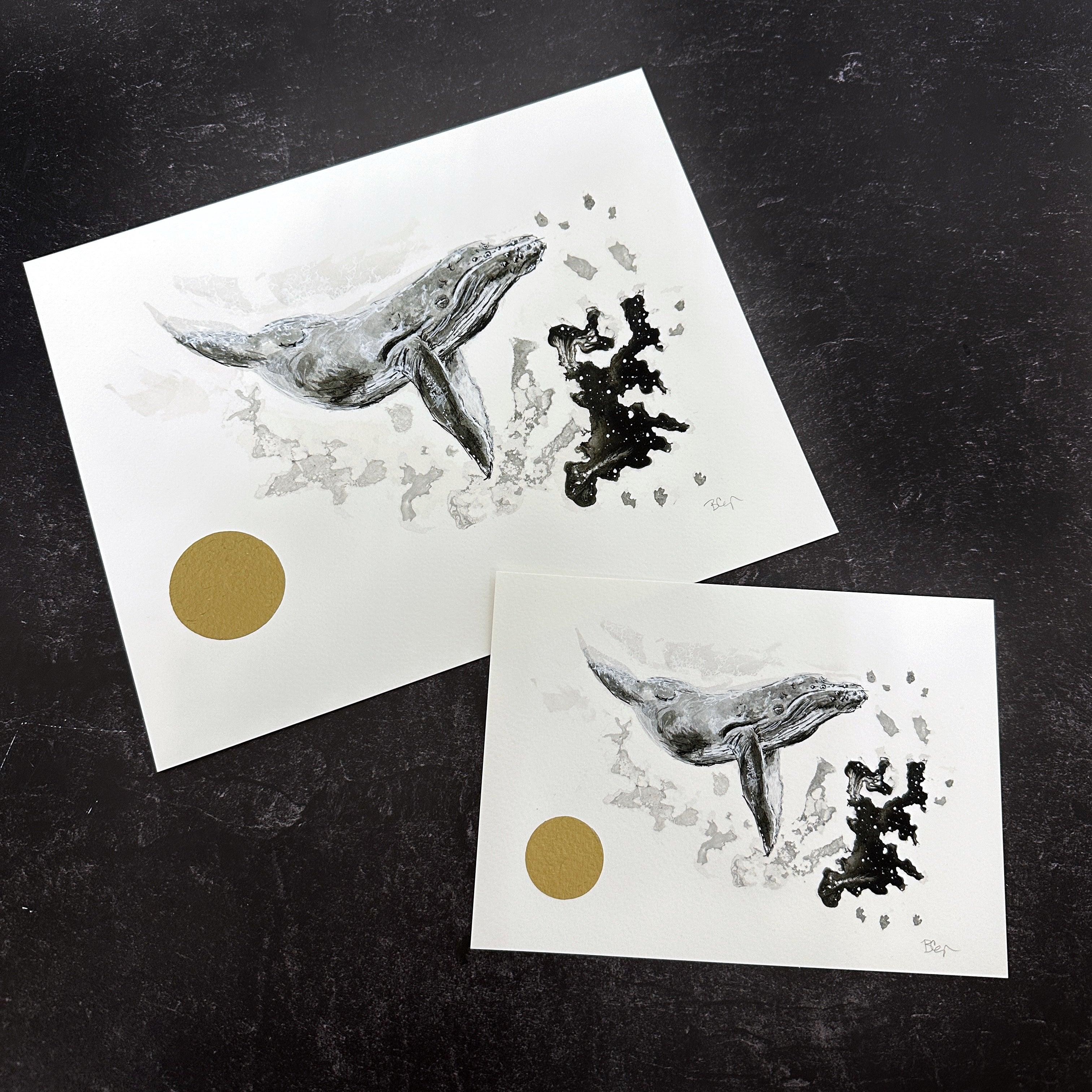Humpback Whale - Pen and Ink Drawing - Print to Order – BethCyr