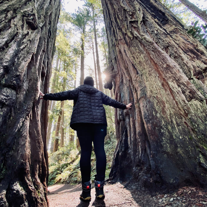 Beth Cyr - Art, Meditation, Relationship Coaching with Human Design – BethCyr